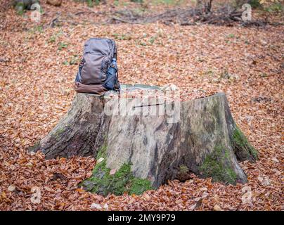 Outdoor backpack next to a tree trunk with green moss in the forest ...