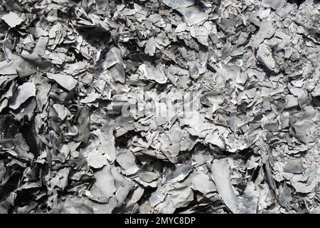 pattern of paper ashes consumed by fire Stock Photo - Alamy