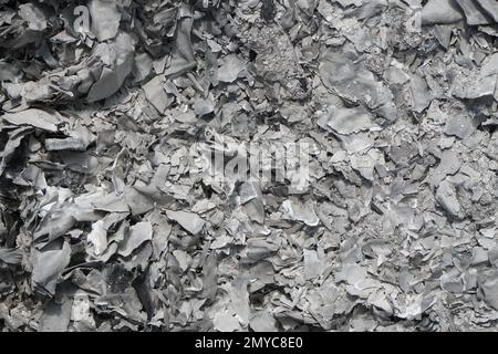 pattern of paper ashes consumed by fire Stock Photo - Alamy
