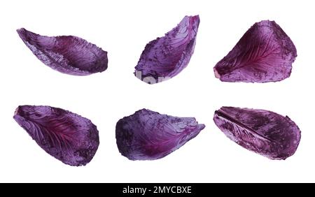 Red cabbage leaves isolated on white Stock Photo - Alamy