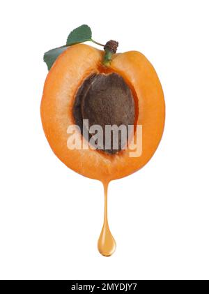 Apricot kernel oil dripping from fresh fruit half into glass bottle on ...