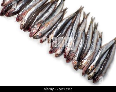 Lots of fresh sprats. Fresh fish concept. Small fishes. Sprat ...