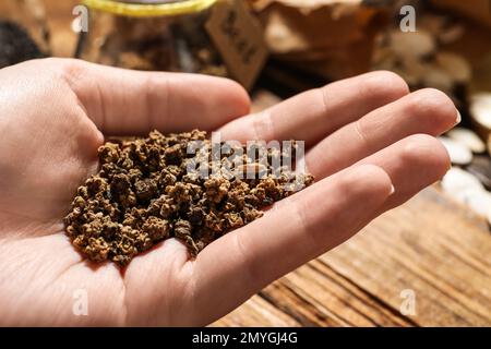 Woman holding pile of beet seeds over soil, top view. Vegetable ...