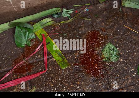 Teeth of a Betel Nut Chewer Stock Photo - Alamy
