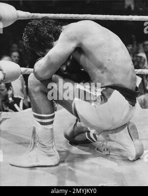 Welterweight boxer John H. Stracey training at Quaglino's, before his ...
