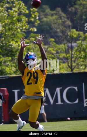 Pittsburgh Steelers strong safety Shamarko Thomas (29) goes through ...
