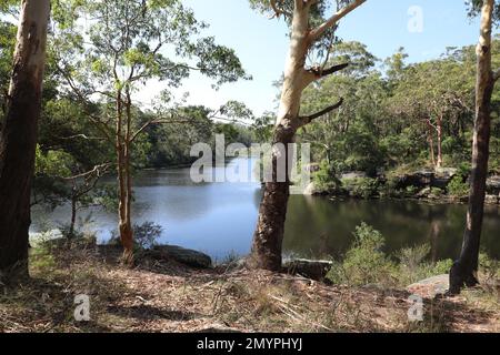 View of Lake Parramatta from the Arrunga Bardo Walk part of the Lake ...