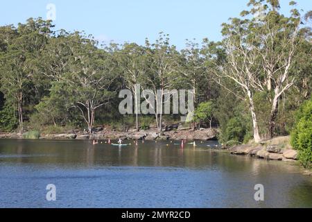 Lake Parramatta Reserve Stock Photo - Alamy