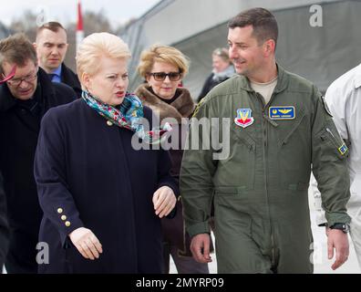 U.S. Army Lt. Col. Daniel Pecha, the commander of 1st Battalion, 28th ...