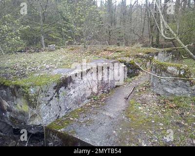 Bunker covered with moss in Mamerki (German: Mauerwald) bunker complex ...