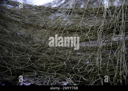 Nets for catching wild animals in the forest. Trapping game animals ...