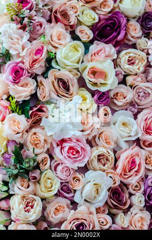 Flower wall background with amazing multicolored roses, wedding ...