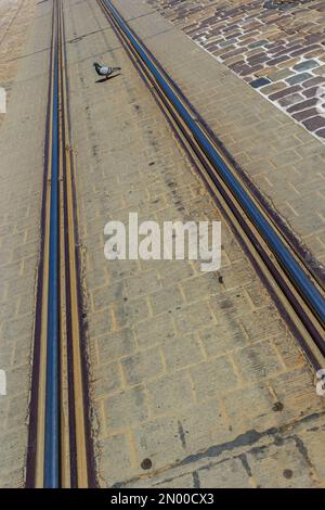 Metallic tracks in urban environment for tram. background image Stock ...