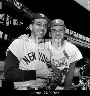 New York Yankees Clete Boyer (6) portrait before a game from his 1966 ...
