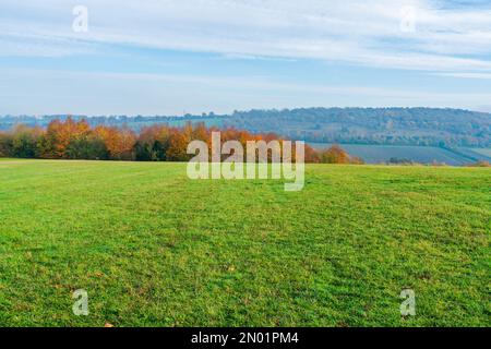Lullingstone Country Park in autumn colours, Kent, UK Stock Photo - Alamy