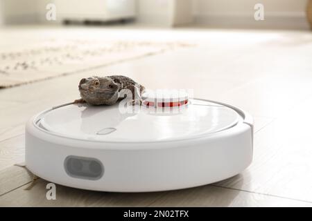 Robotic vacuum cleaner and bearded dragon lizard on white background ...