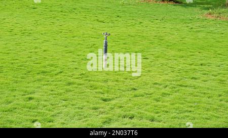 Fully grown lawn ready for cultivation. Cultivation outskirts of ...