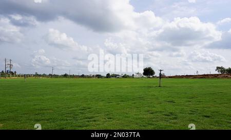 Fully grown lawn ready for cultivation. Cultivation outskirts of ...