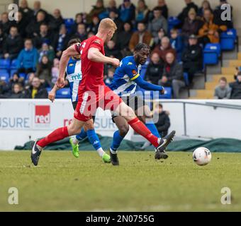 Chester, Cheshire, England. 4th February 2023. Chester's Adam Thomas ...