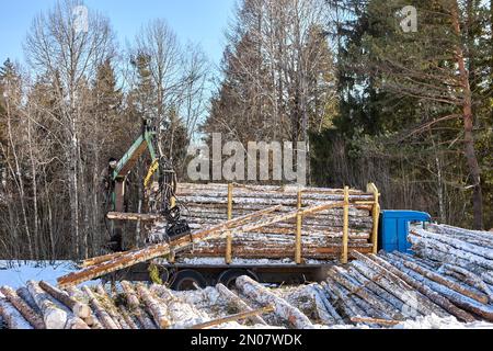Grapple loader loading logs onto waiting logging truck. Cutblock just ...