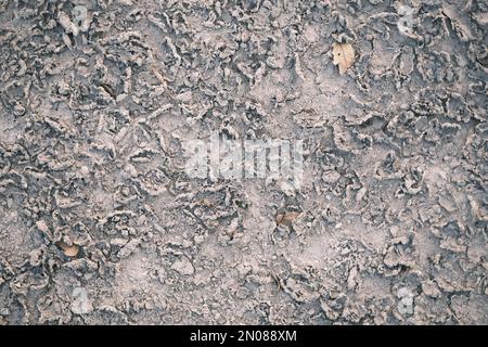Dusty cracked ground Stock Photo - Alamy