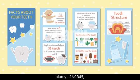 Dental care brochure template layout. Prevent tooth decay. Flyer ...