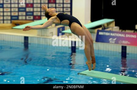 Elna Widerstrom competes in the Women’s 3m Final during day four of the ...
