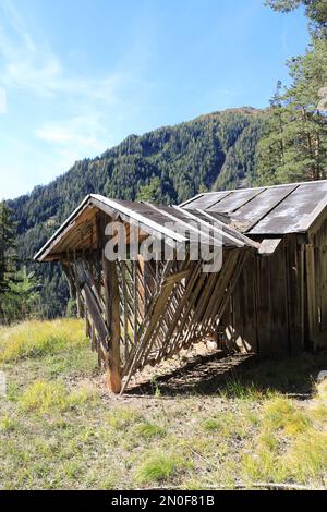 fodder rack for deer with food for animal in forest Stock Photo - Alamy