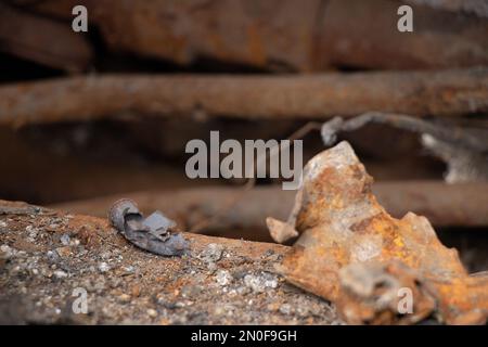 Exploded bullets in a cartridge belt inside an exploded Russian tank in ...