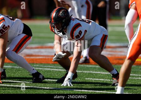 American tight end Luke Musgrave of Oregon State (88) catches a pass ...