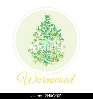 Wormwood. Vector hand drawn plant. Vintage medicinal plant sketch Stock ...