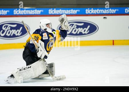 05.02.2023, Lucerne, Regionales Eiszentrum, National Cup Women, Gold ...