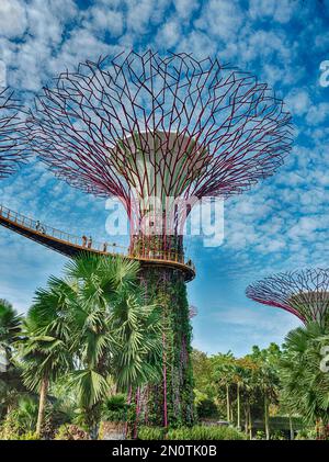 Detail of the structure of Supertree Grove, tree-like structure that ...