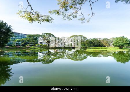 Taiping, Malaysia - 1st Jan 2023: Beautiful Raintree Walk in Taiping ...