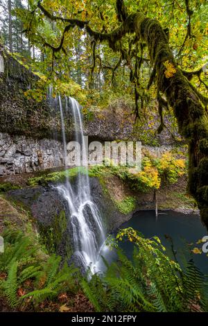 Waterfall, Middle North Falls, dense autumn vegetation, Silver Falls ...