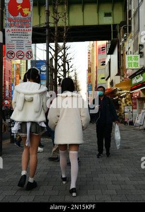 Girls dressed in French maid costumes handing out discount coupons for ...