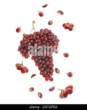 Isolated flying grapes. Falling grape fruits isolated on white ...