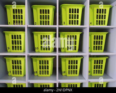 Numbered plastic boxes in their cells are arranged in order in wooden ...