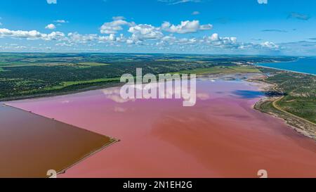 Aerial of the pink coloured Hutt Lagoon, Western Australia, Australia ...