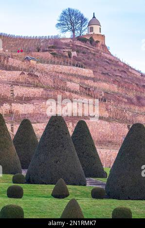 Schlossgarten, vineyards and Jacobstein or Jakobsturm, Schloss ...