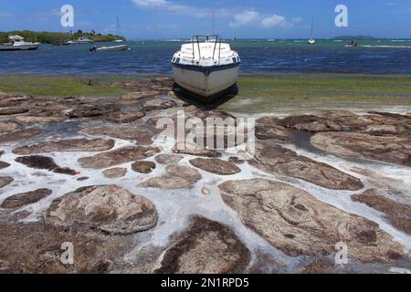Beach pollution in puerto rico coast Stock Photo - Alamy