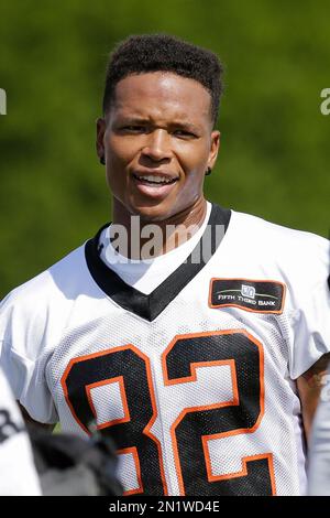 Cincinnati Bengals wide receiver Marvin Jones (82) in action during the ...