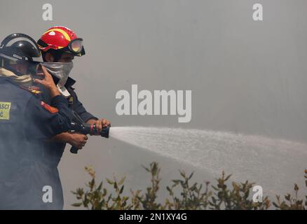 Croatian fire workers controls fire during forest fire on the Peljesec ...
