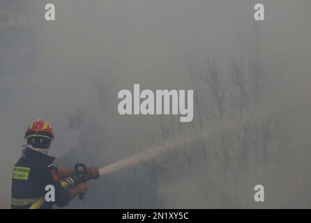 Croatian fire workers controls fire during forest fire on the Peljesec ...
