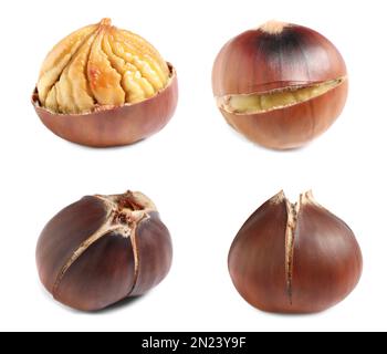 Set of sweet roasted edible chestnuts isolated on white. Banner design ...
