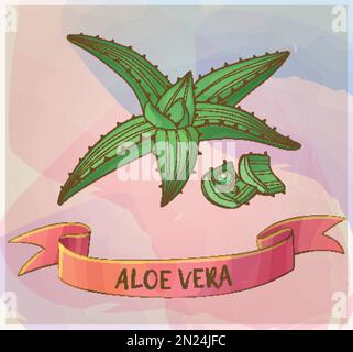Aloe vera plant icon, cartoon style Stock Vector Image & Art - Alamy