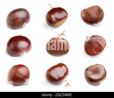 Set of sweet edible chestnuts on white background Stock Photo - Alamy