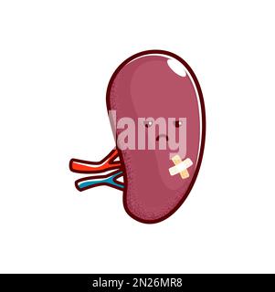Vector illustration of a sick and sad spleen in cartoon style Stock ...