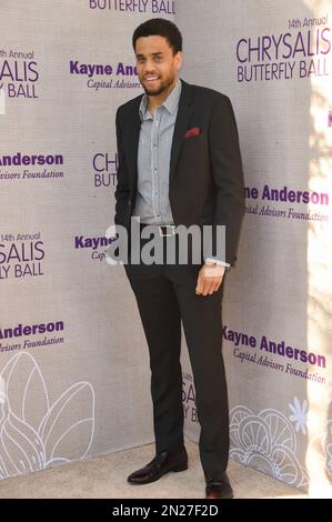 Michael Ealy arrives at the 14th Annual Chrysalis Butterfly Ball held ...
