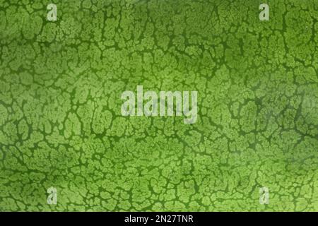 Delicious ripe Charleston grey watermelon as background, closeup Stock ...